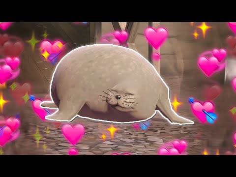 Steam Community :: Video :: OMG, IT'S A SEAL IN TEAM FORTRESS 2🥺