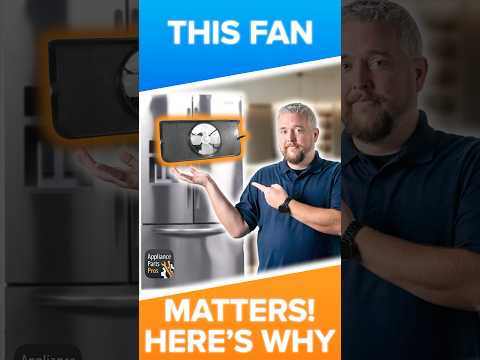 Why Your Fridge Feels Warm: Evaporator Fan Explained & Diagnosed