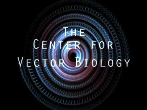 Introduction for the Center of Vector Biology of Rutgers University