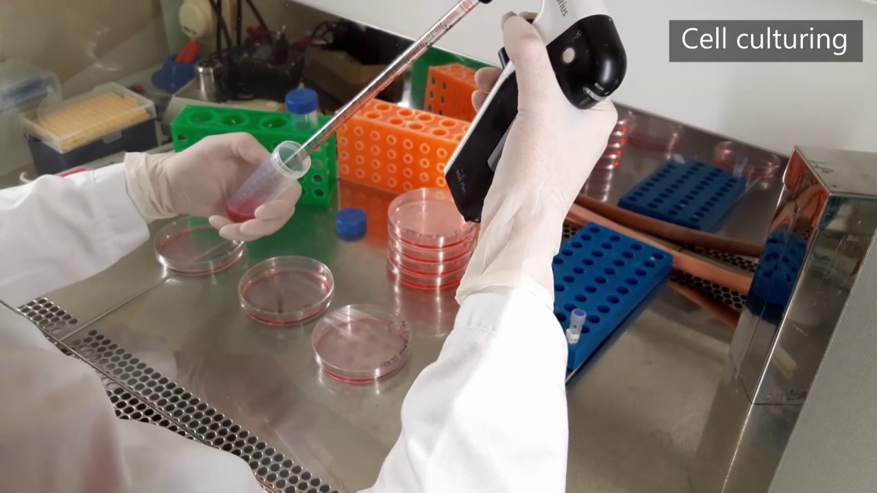 Medical Doctors In Research: Working with Cancer Genomics