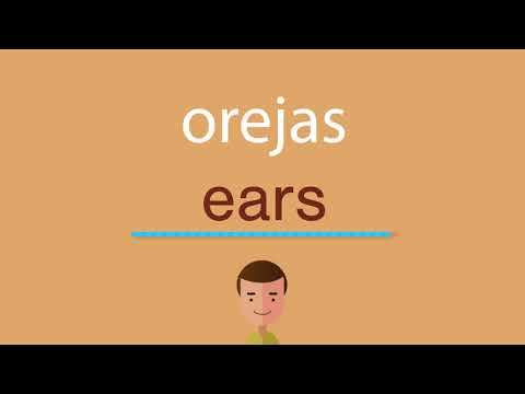 Cómo se dice orejas en inglés