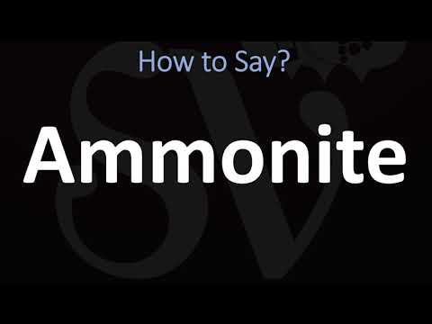 How to Pronounce Ammonite? (CORRECTLY)