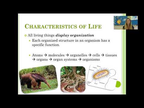 Characteristics of Life
