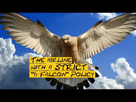 This airline has a STRICT "6 Falcon" policy