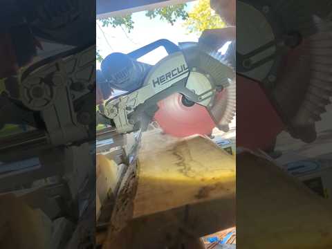 Hercules miter saw from @harborfreight #saw #tools #tool #mitersaw #slab #woodworking #shorts