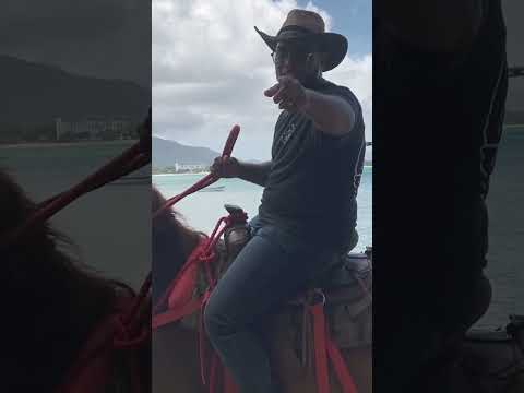Muy pronto video #caballos #elcampestre #comiendo #campo