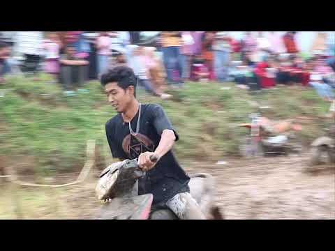 Desa Wisata Marapalam