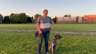 3 Best Dog Trainers in Cambridge, ON - Expert Recommendations