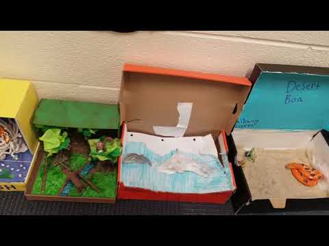 Habitat Dioramas