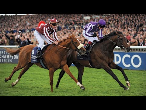 The Top 3 Sites to bet on Horse Racing 🏇Horse Race Betting🐴