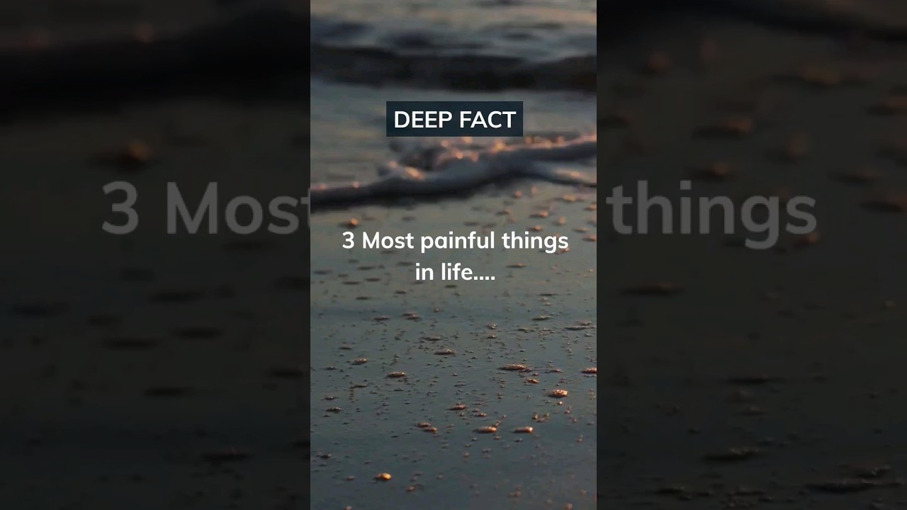3 Most Painful Things In Life #shorts #psychologyfacts #subscribe #deep #facts