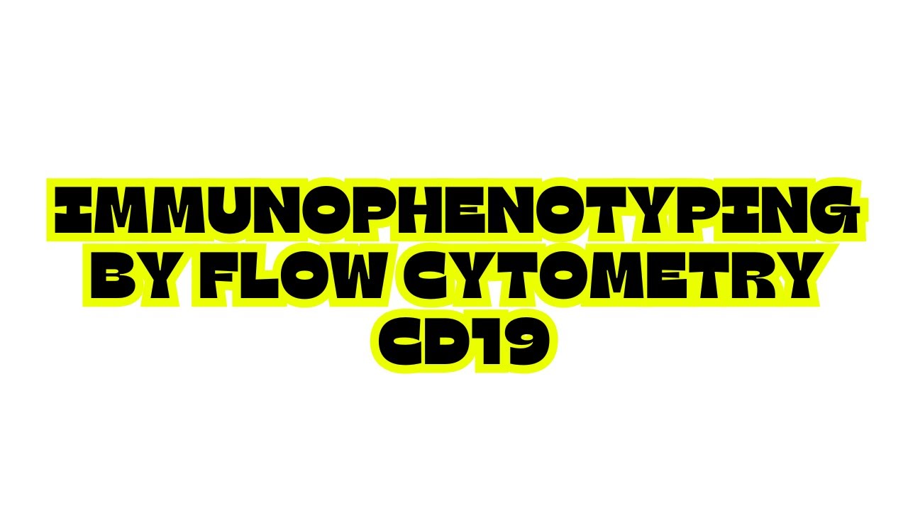 IMMUNOPHENOTYPING BY FLOW CYTOMETRY: CD19
