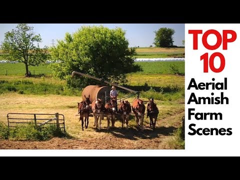 Top 10 Aerial Amish Farming Scenes Compilation - Horse drawn ag machinery and farm equipment in 4K