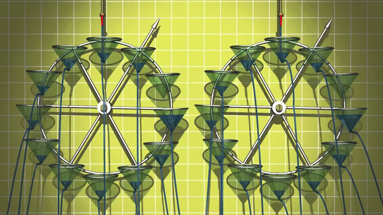 The Chaotic Waterwheel of Life | BIZCATALYST 360°