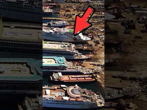 Here is the Last Harbor for Ships - Ship Recycling Yard #shorts