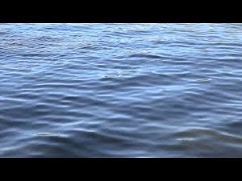BIBLICAL CALENDAR: 5 MONTHS IS 150 DAYS IN GENESIS FLOOD ACCOUNT!!(PROPHETIC YEAR)