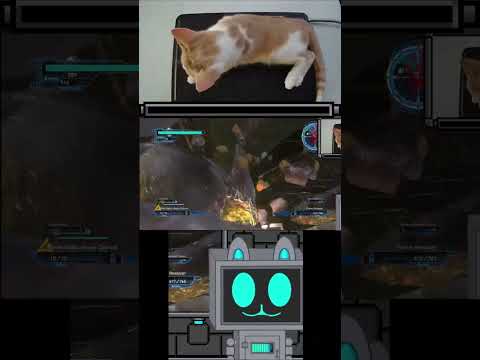Is It Working? | EDF with the Cats #shorts
