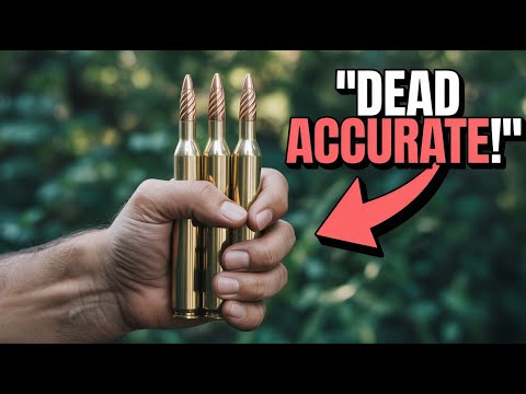 Insanely Accurate Cartridge Nobody Uses – This Changes Everything!