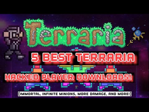 5 Best Terraria Hacked Player Downloads! (INFINITE MINIONS) (IMMORTAL) | Terraria 1.4