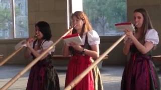 Alphorn, Jodeling, Swiss Akkordeon / Solo, Duo or Trio - Zürich