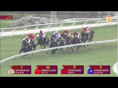 25 MAY 2025 RACE 6
