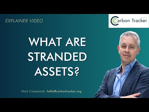 What Are Stranded Assets & Why Should We Care About Them? | CTI Explainer