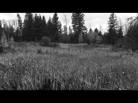 A Wanderer’s Vignette- Maskepetoon Park | theWanderers-notebook