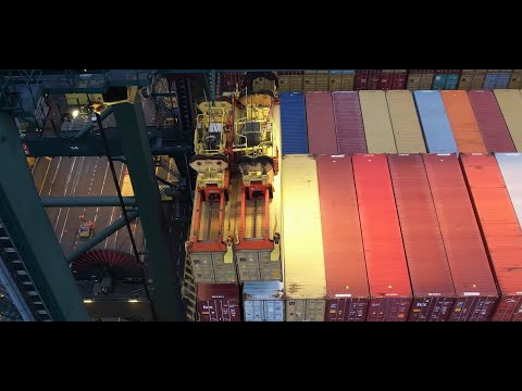 MSC x Microsoft Customer Story