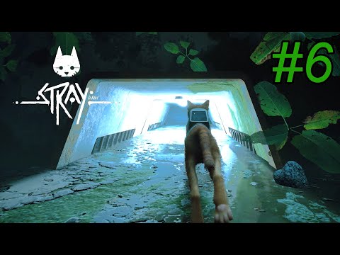 Steam Community :: Video :: STRAY Gameplay - Ep 6 - Chapters 6 and 7 ...