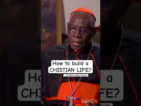 Cardinal Robert Sarah on the THREE PILLARS of CATHOLICISM #conclave #pope #catholicchurch #shorts