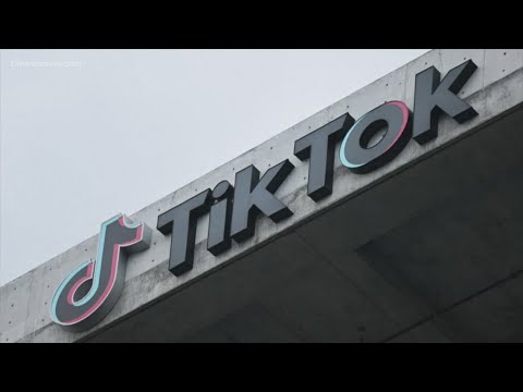 TikTok returns to app stores overnight