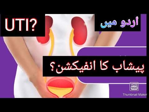 UTI Urinary tract infection in urdu, hindi #uti #medical #prevention #education