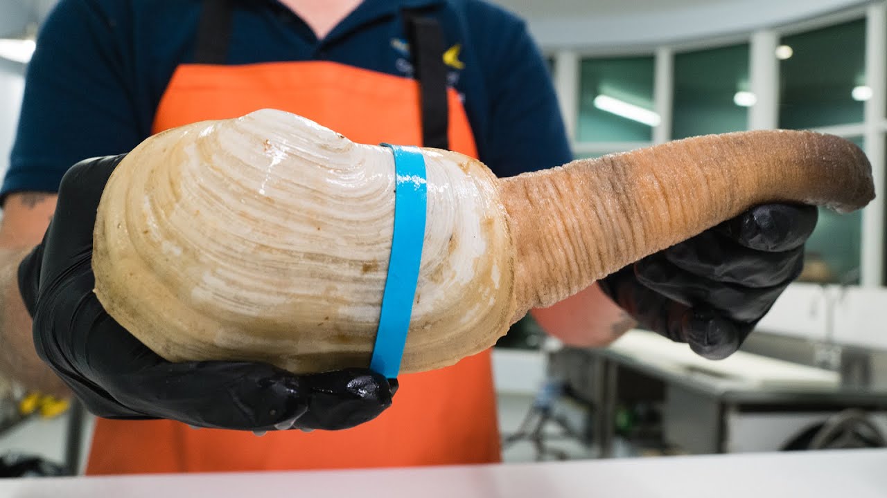 What Does This GIANT Clam Taste Like?