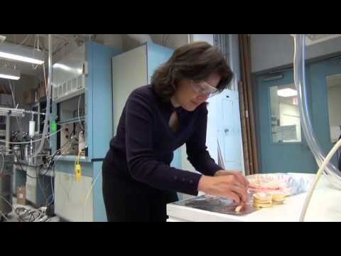UI Professor Wins MacArthur Grant - KR