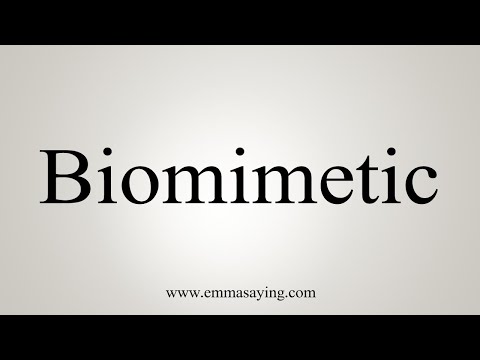 How To Say Biomimetic