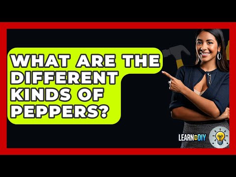 What Are The Different Kinds Of Peppers? - LearnToDIY360.com