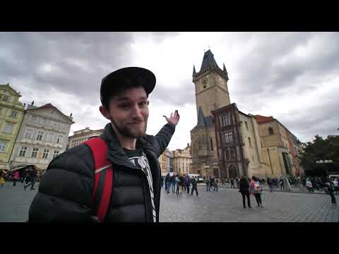 International students about FZP