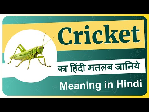 Cricket meaning in Hindi | Cricket ka matlab kya hota hai | Cricket means and hindi word