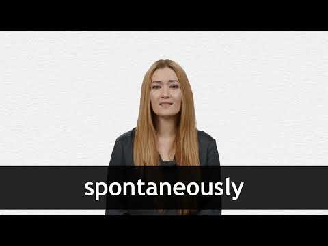 SPONTANEOUSLY definition in American English | Collins English Dictionary