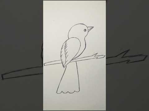 easy bird drawing step by step 😍🔥#shortsfeed #short