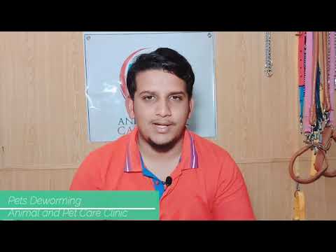 Pets Deworming in urdu