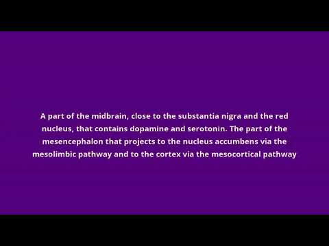 what is the meaning of ventral tegmentum