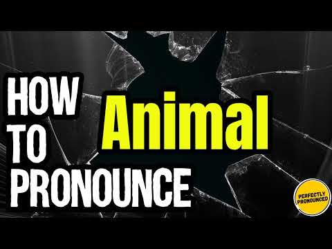How To Pronounce Animal? (CORRECTLY) Meaning & Pronunciation