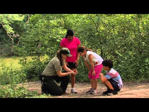 Texas Parks and Wildlife Turns 50!