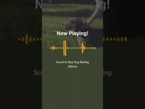 Stop Dog Barking: Best Training Sound