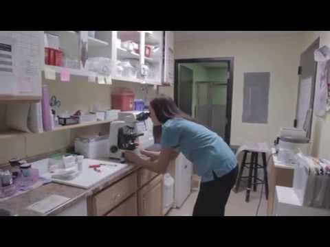 Welcome to All Creatures Animal Hospital