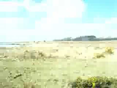 Broad Pool, Gower (Wales) | The Garden Pond Blog