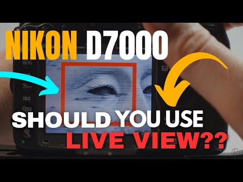 Nikon D7000: Live view (25468)