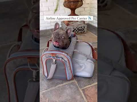 Airline Approved Pet Carriers