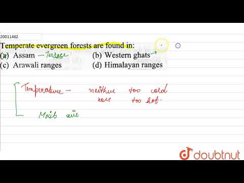 Temperate evergreen forests are found in: